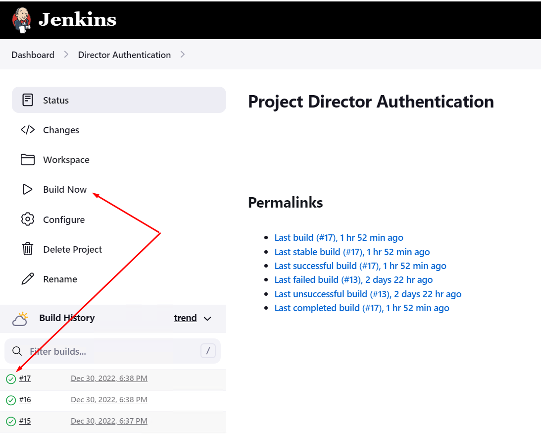 Automai Director APIs using Jenkins